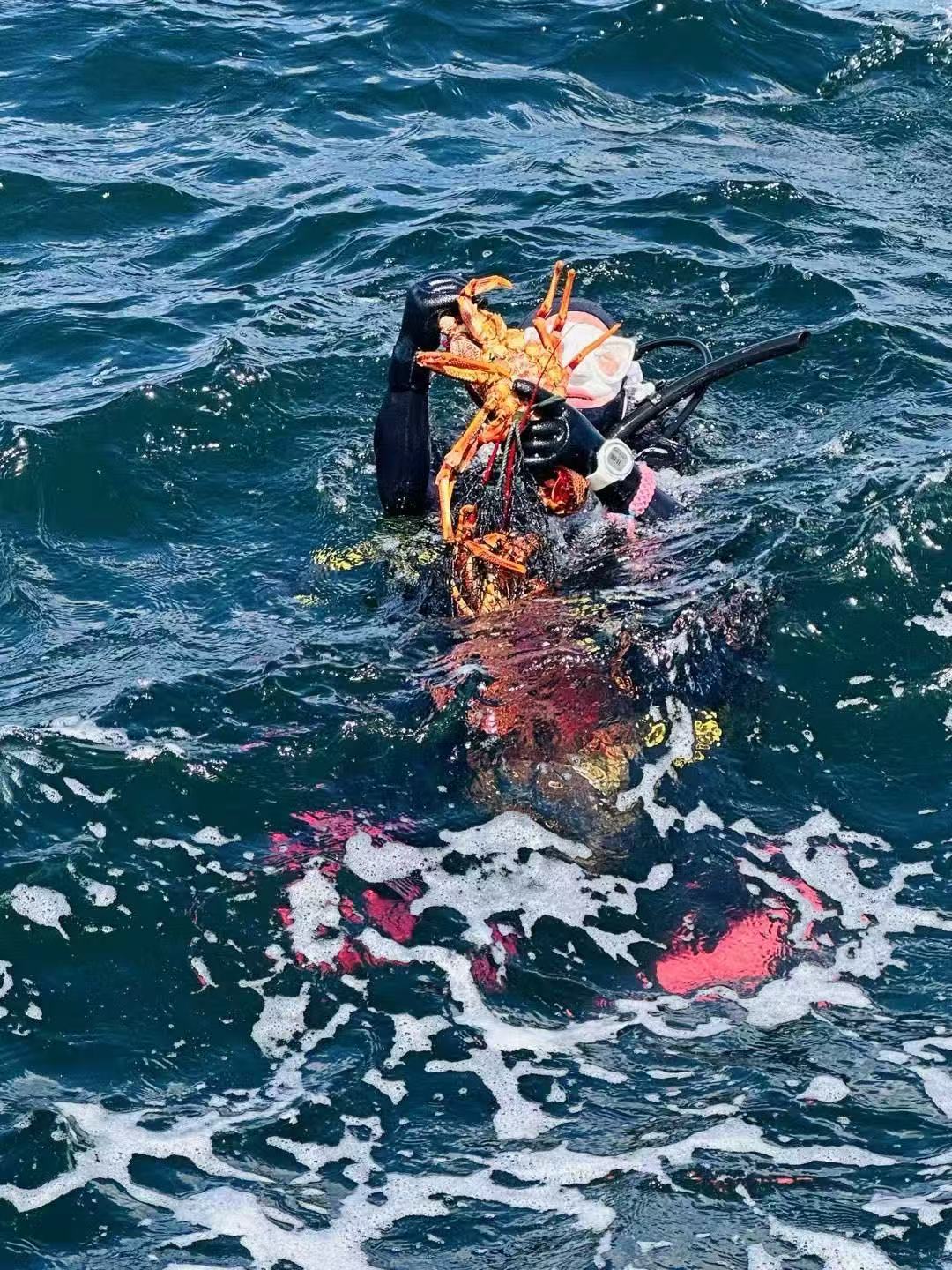 Half-Day Hook, Dive, and Grill